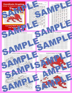 Chinese New Year Coordinate Plane Graphing Picture: Zodiac Tiger | Made ...