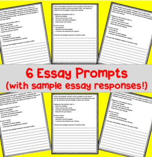 6th Grade ELA Practice State Test BUNDLE: State Test Prep | Made By ...