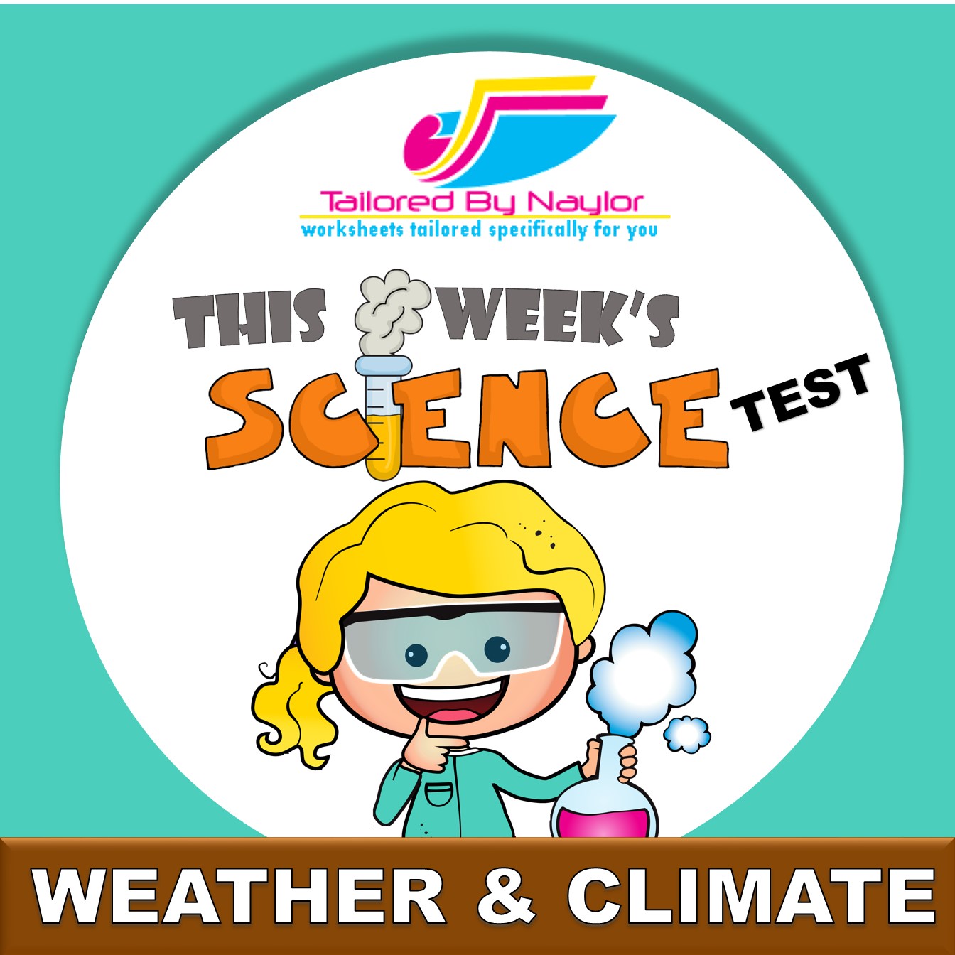 WEATHER AND CLIMATE | NGSS Science Test | Made By Teachers