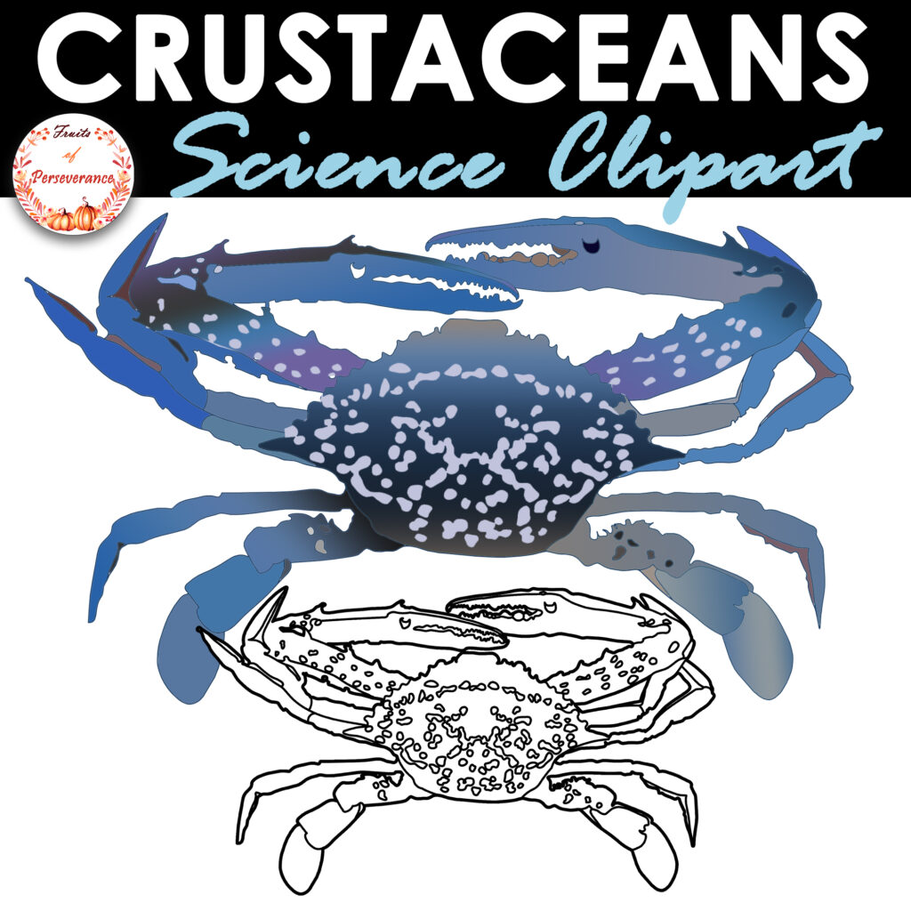 Realistic Arthropods and Crustaceans Clipart | Mangroves and Wetlands ...