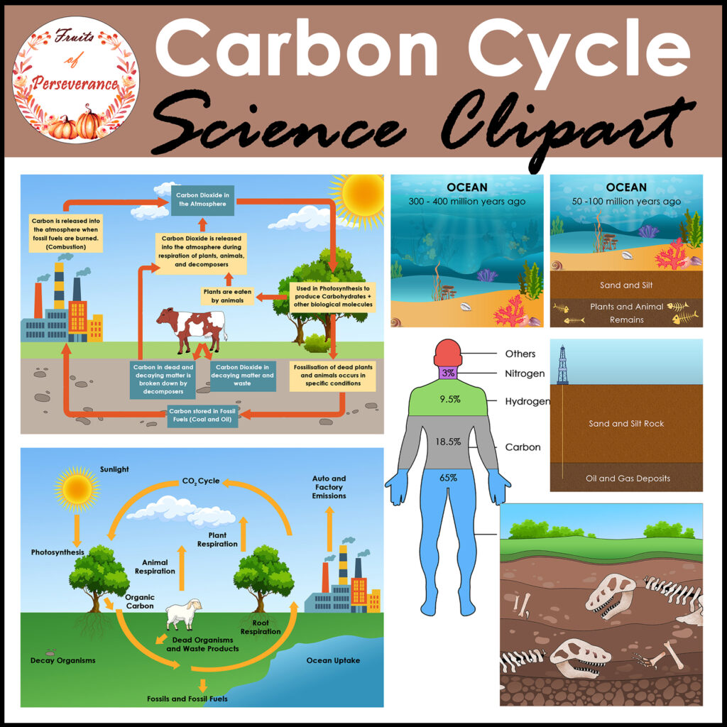 Carbon Cycle Clipart | Fossil Fuel Science Clip art | Made By Teachers