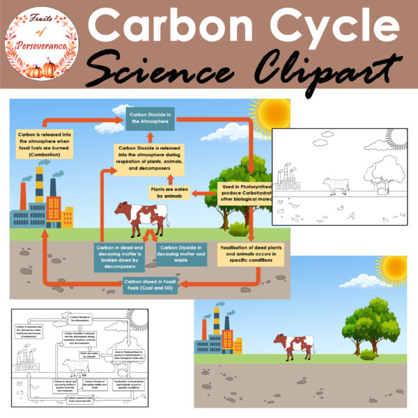 Carbon Cycle Clipart | Fossil Fuel Science Clip art | Made By Teachers