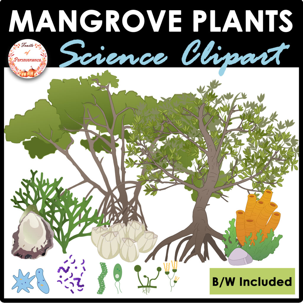 Mangrove Plants Trees and Microorganisms Clipart | Forests and Wetlands ...