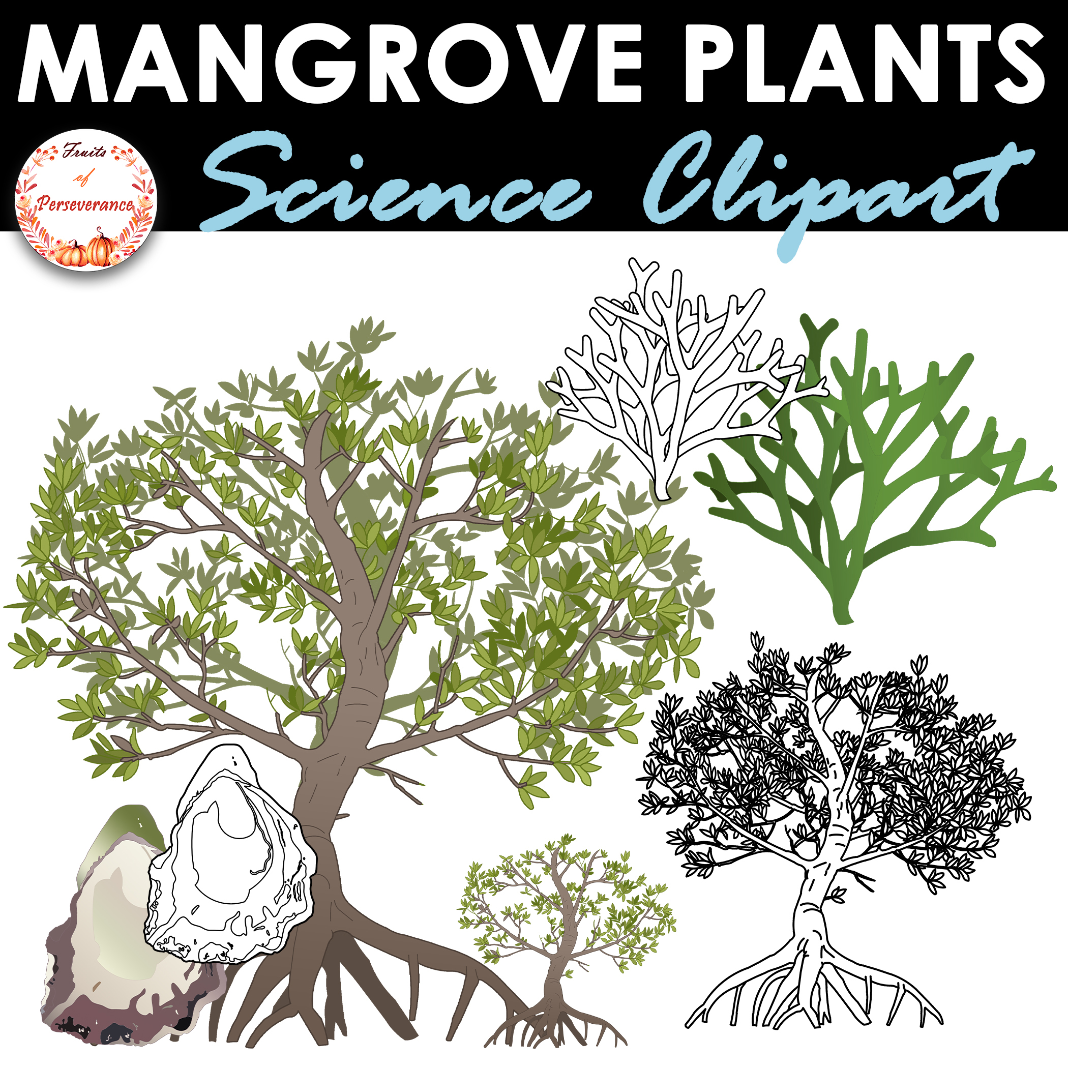 Mangrove Plants Trees and Microorganisms Clipart | Forests and Wetlands ...