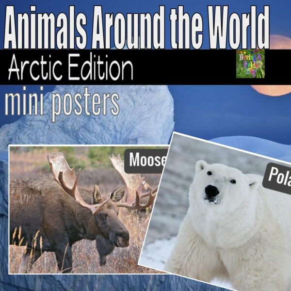 Arctic Animals- Animals Around the World Mini Posters | Made By Teachers