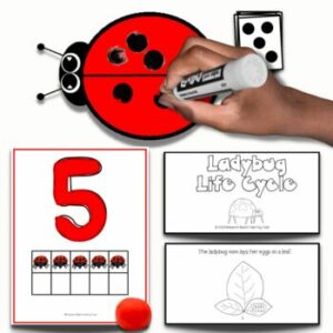 The Grouchy Ladybug Literacy and Math Center Activities | Made By Teachers