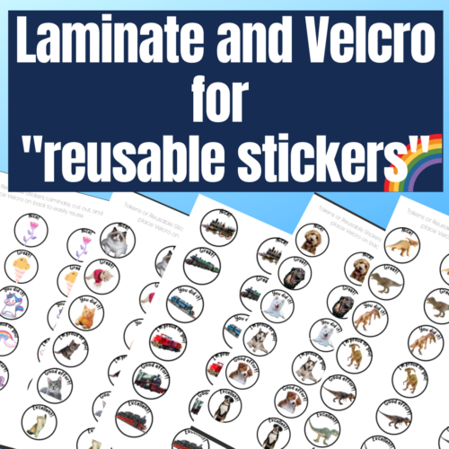 Behavior Incentive Reward Sticker Chart Token Boards 6 Popular Themes ...