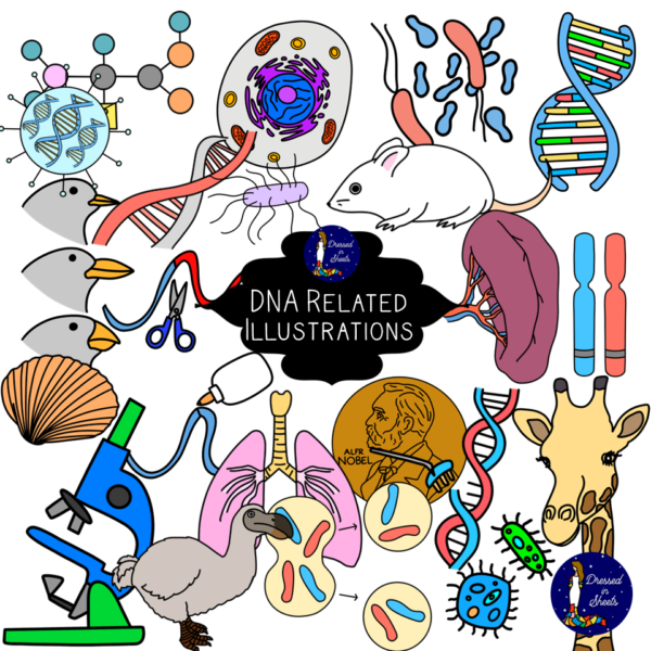 DNA Related Illustrations | Made By Teachers