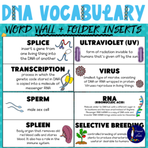 DNA Vocabulary Word Wall and Folder Inserts | Made By Teachers