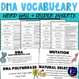 DNA Vocabulary Word Wall and Folder Inserts | Made By Teachers