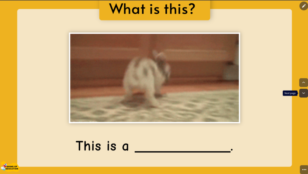 ESL Curriculum - Level 1 Unit 5 Lesson 1 - Rr, Ww Sounds | Made By Teachers