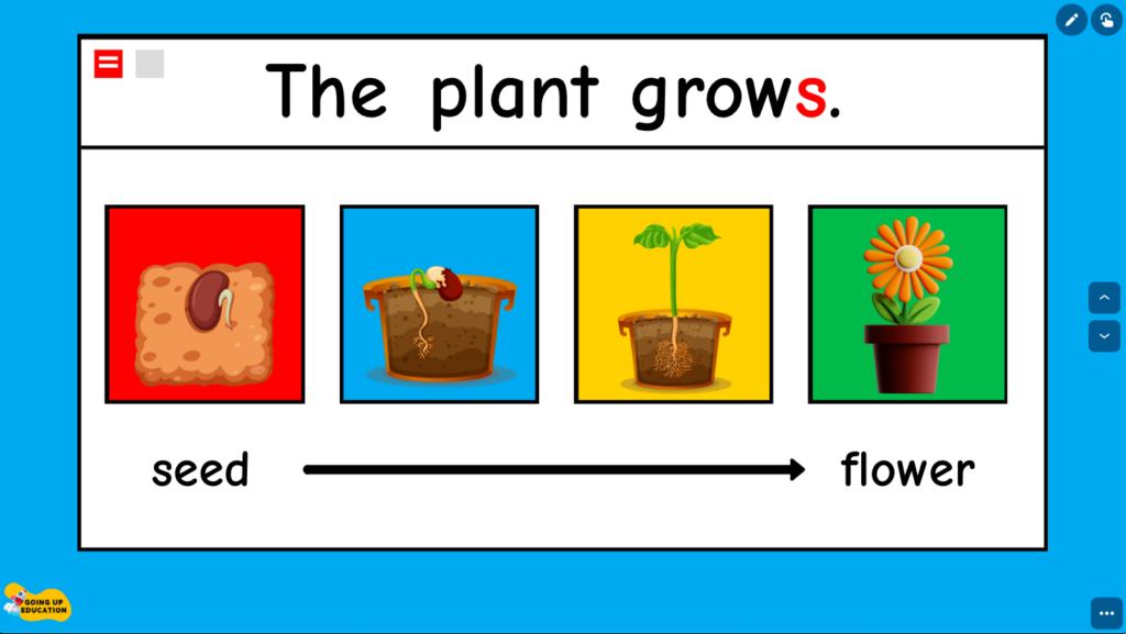 ESL Curriculum - Level 1 Unit 9 Lesson 1 - Plant Life | Made By Teachers