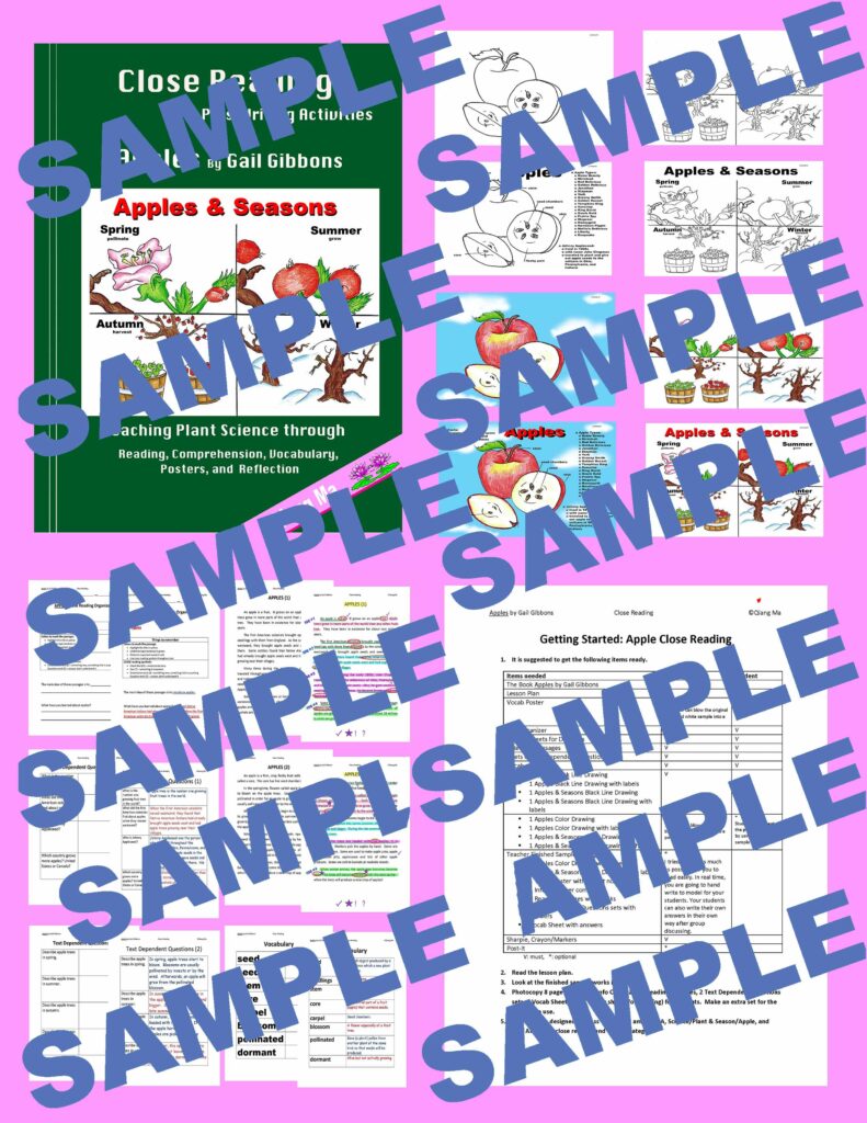 Close Reading: Apples by Gail Gibbons | Made By Teachers