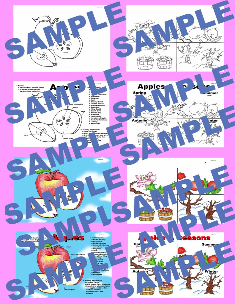 Close Reading: Apples by Gail Gibbons | Made By Teachers