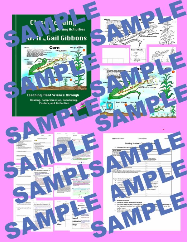 Close Reading: Corn by Gail Gibbons | Made By Teachers