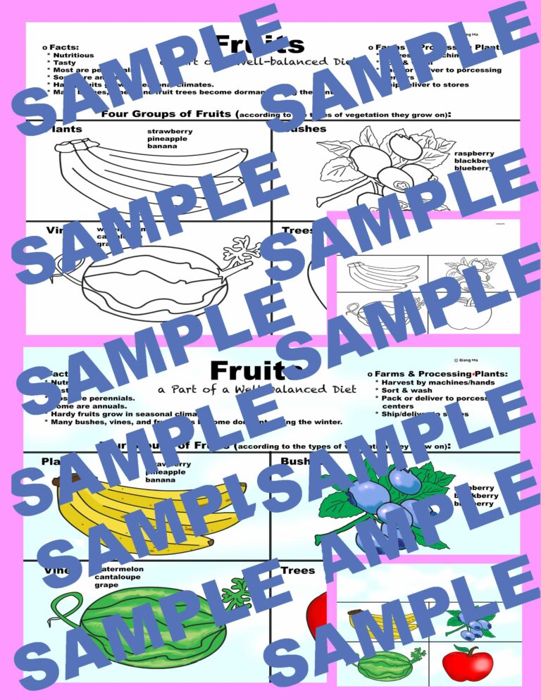 Close Reading: The Fruits We Eat by Gail Gibbons | Made By Teachers