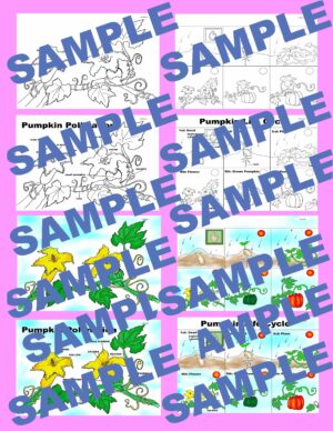 Close Reading: The Pumpkin Book by Gail Gibbons | Made By Teachers