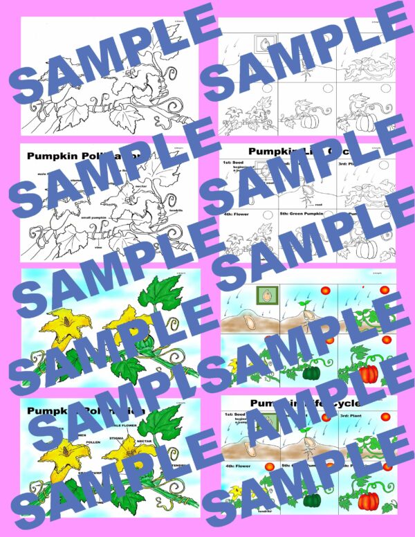 Close Reading: The Pumpkin Book by Gail Gibbons | Made By Teachers