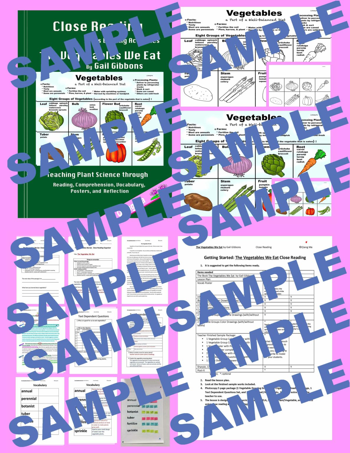 Close Reading: The Vegetables We Eat by Gail Gibbons | Made By Teachers