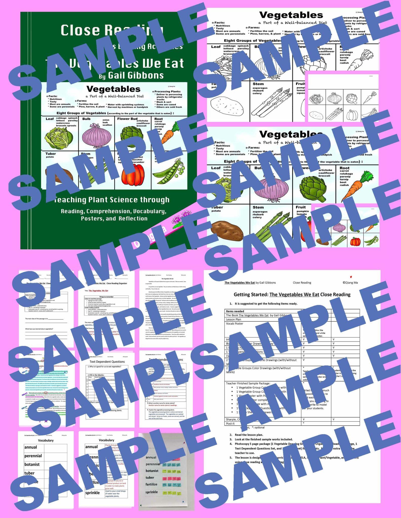 Close Reading: The Vegetables We Eat by Gail Gibbons | Made By Teachers