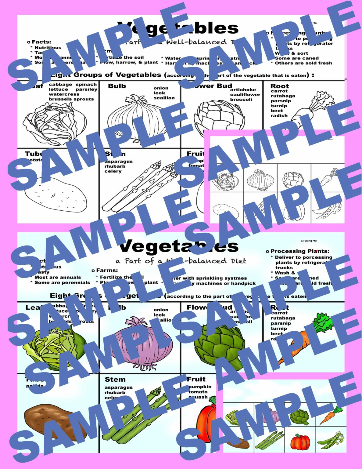 Close Reading: The Vegetables We Eat by Gail Gibbons | Made By Teachers
