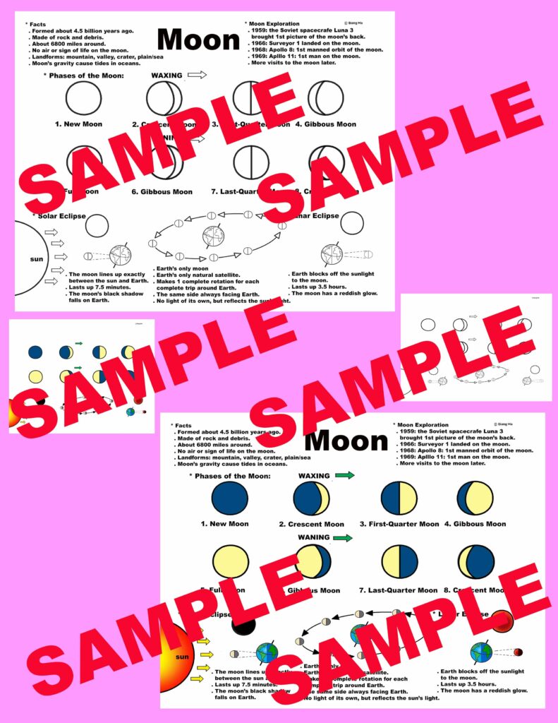 Close Reading: The Moon Book by Gail Gibbons | Made By Teachers