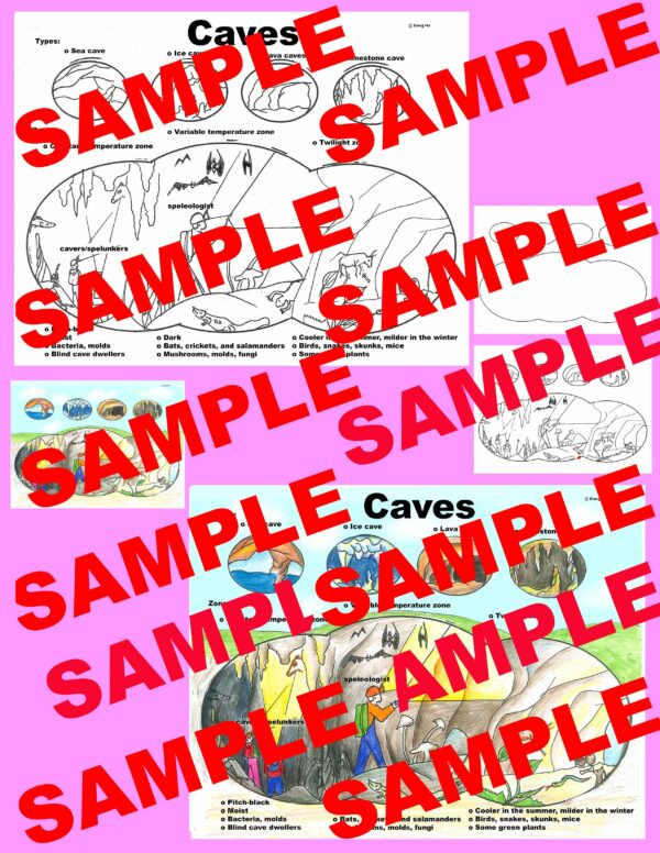 Close Reading: Caves and Caverns by Gail Gibbons | Made By Teachers