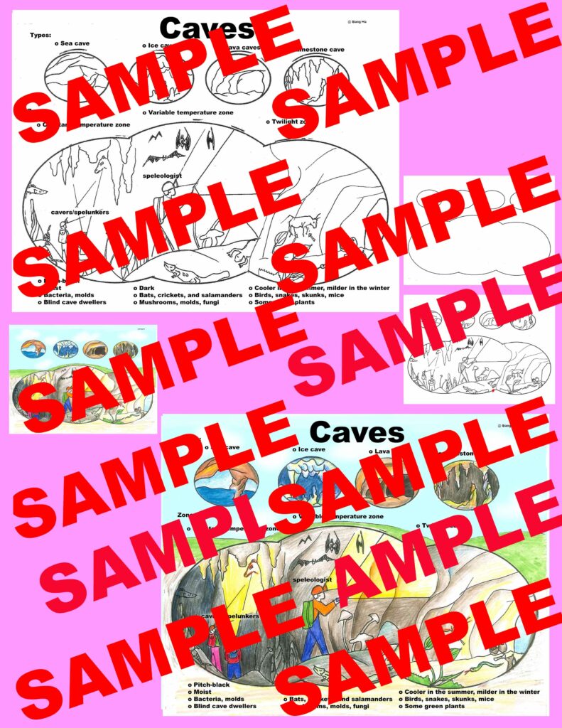 Close Reading: Caves and Caverns by Gail Gibbons | Made By Teachers