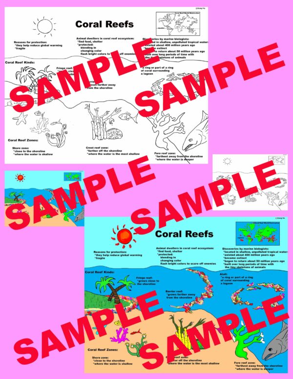 Close Reading: Coral Reefs by Gail Gibbons | Made By Teachers