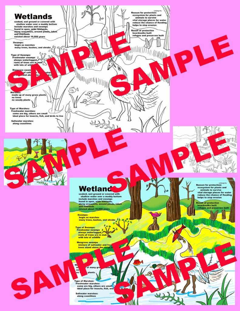 Close Reading: Marshes & Swamps by Gail Gibbons | Made By Teachers