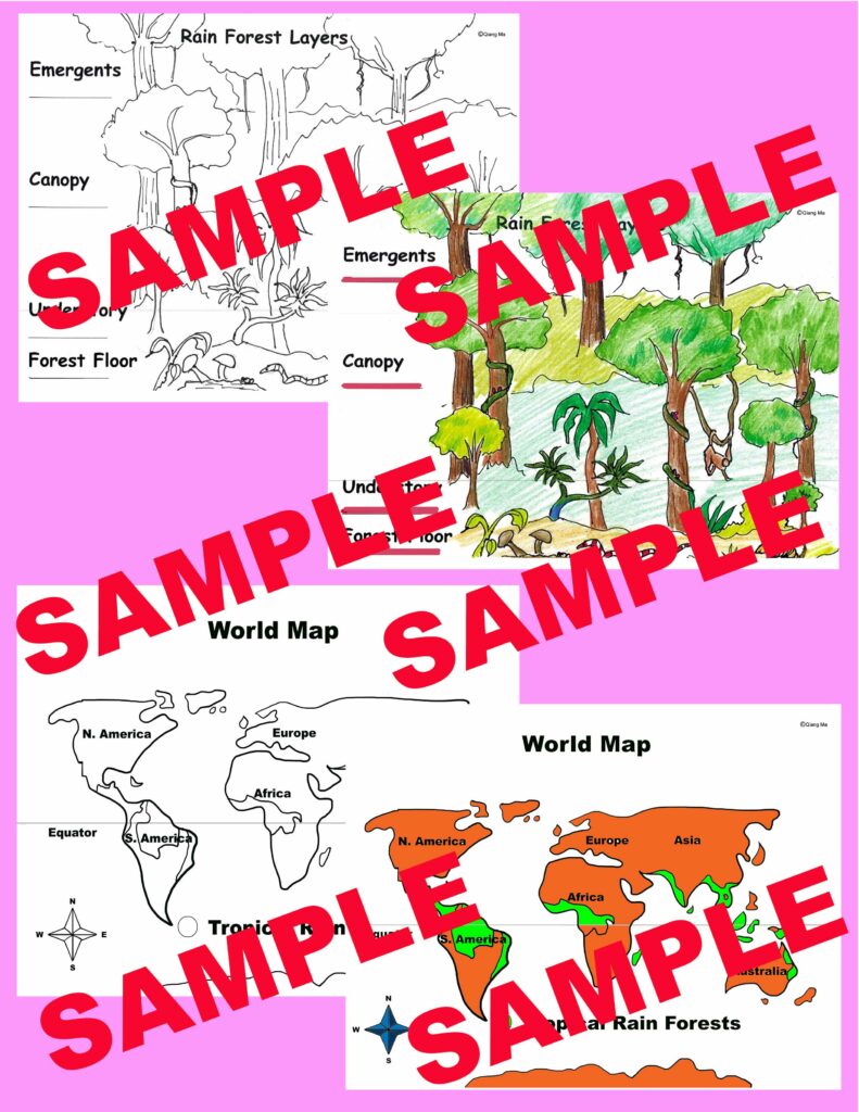 Close Reading: Rain Forests from NATURE'S GREEN UMBRELLA by Gail ...