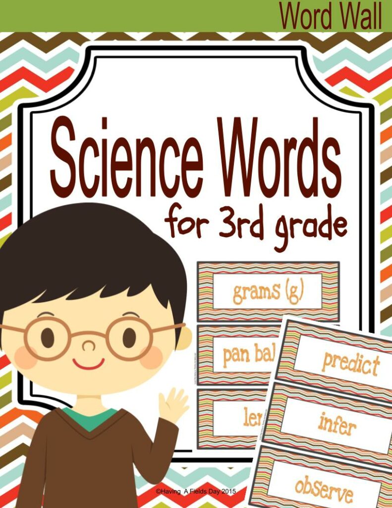 Third Grade Science Words for Word Walls | Made By Teachers
