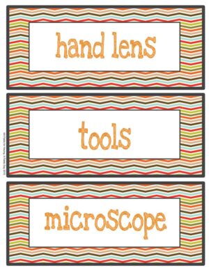 Third Grade Science Words for Word Walls - Made By Teachers