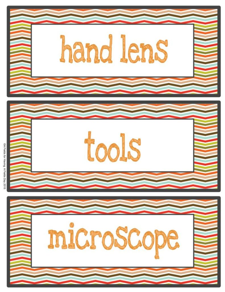 Third Grade Science Words for Word Walls | Made By Teachers