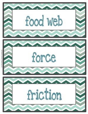 Fourth Grade Science Words for Word Walls | Made By Teachers