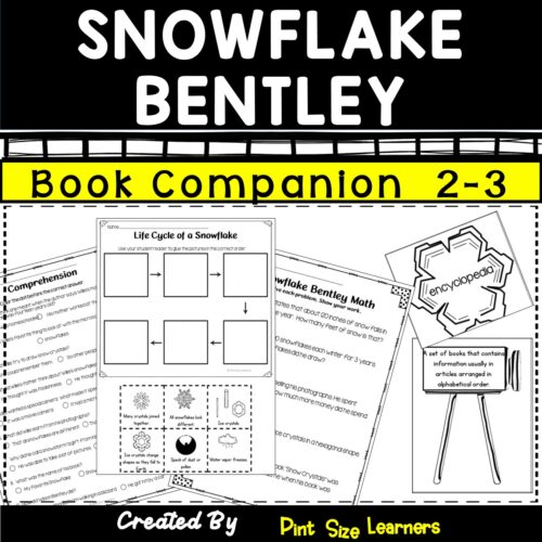Snowflake Bentley Biography | Activities | Book Study | Made By Teachers