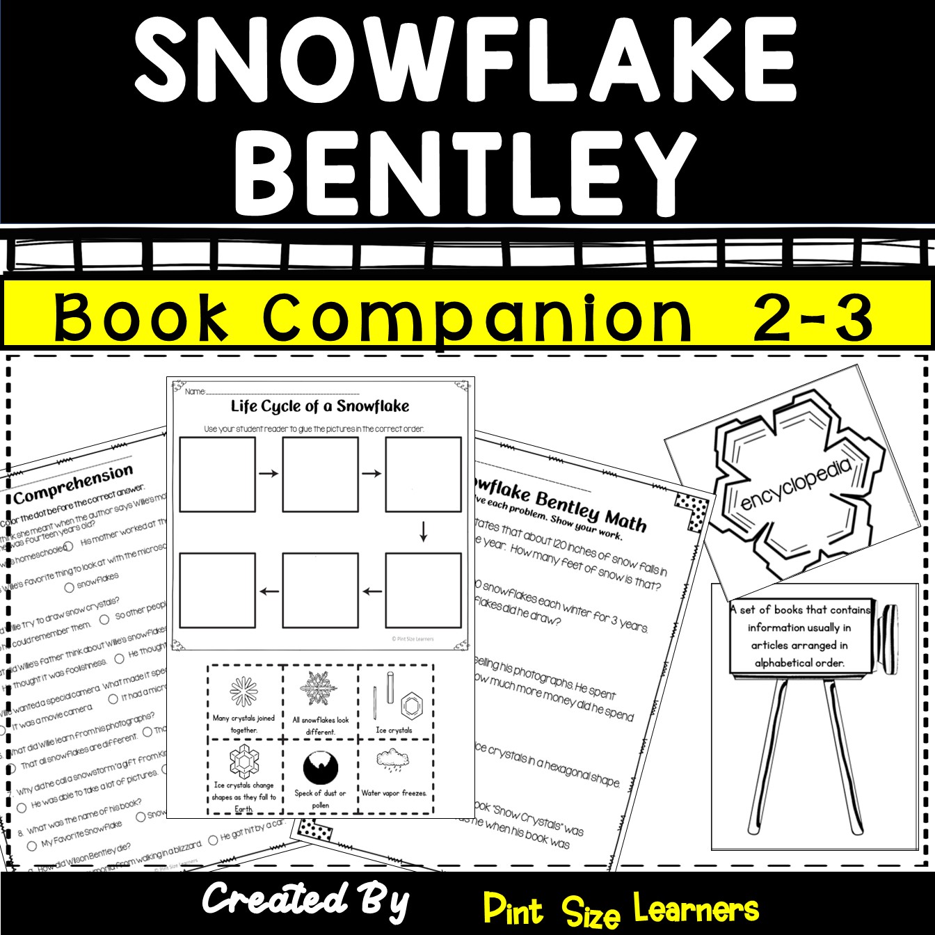 Snowflake Bentley Biography | Activities | Book Study | Made By Teachers