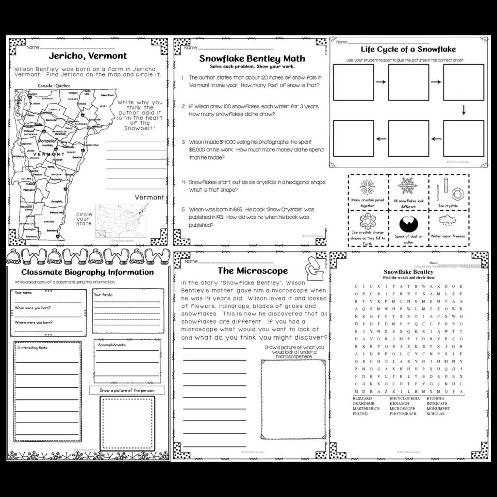 Snowflake Bentley Biography | Activities | Book Study | Made By Teachers