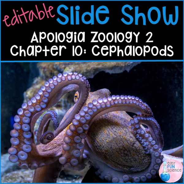 Apologia Zoology 2 Swimming Creatures Chapter 10 Cephalopods EDITABLE ...