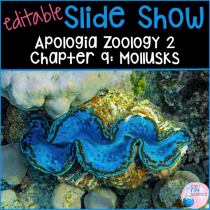 Apologia Zoology 2 Swimming Creatures Chapter 9 Mollusks EDITABLE ...