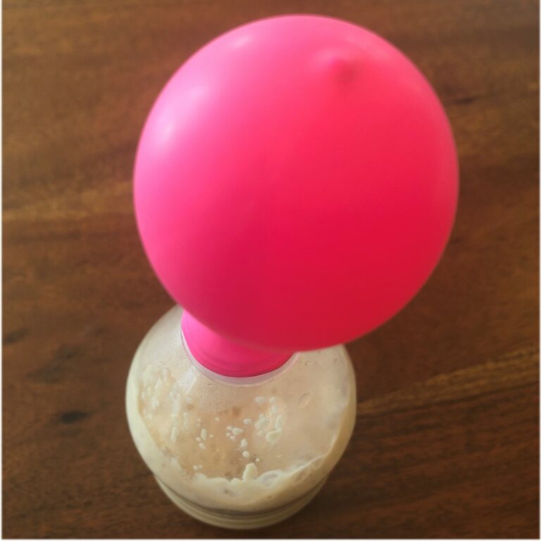 Fermentation in Yeast Object Lesson on Faith | Made By Teachers