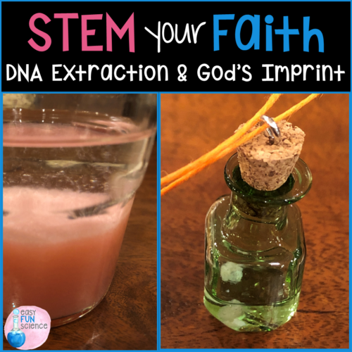 Strawberry DNA Extraction | Made By Teachers