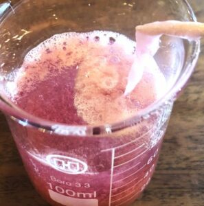 Strawberry DNA Extraction | Made By Teachers