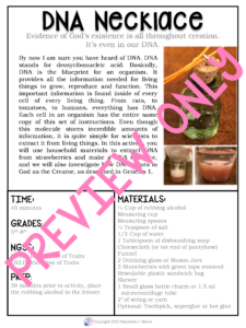 Strawberry DNA Extraction | Made By Teachers