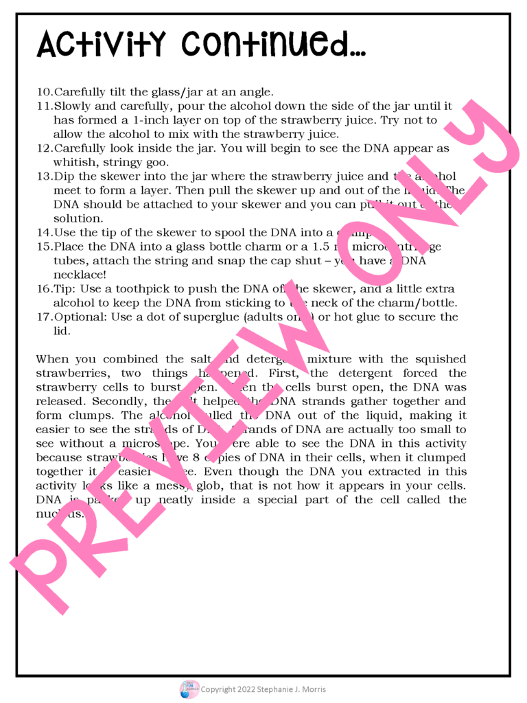 Strawberry DNA Extraction | Made By Teachers