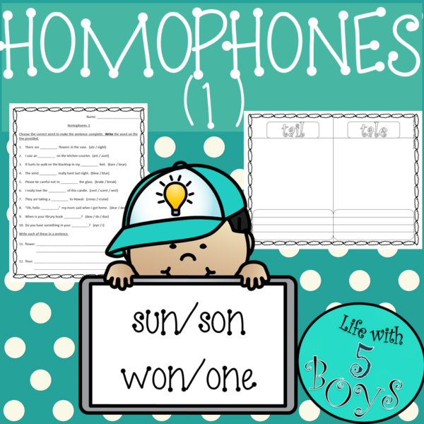 Homophones Activity Set 1 | Made By Teachers