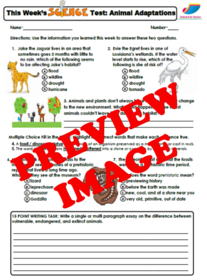 ANIMAL ADAPTATIONS | NGSS Science Test | Made By Teachers