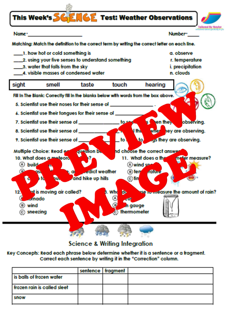 WEATHER OBSERVATIONS | NGSS Science Test | Made By Teachers