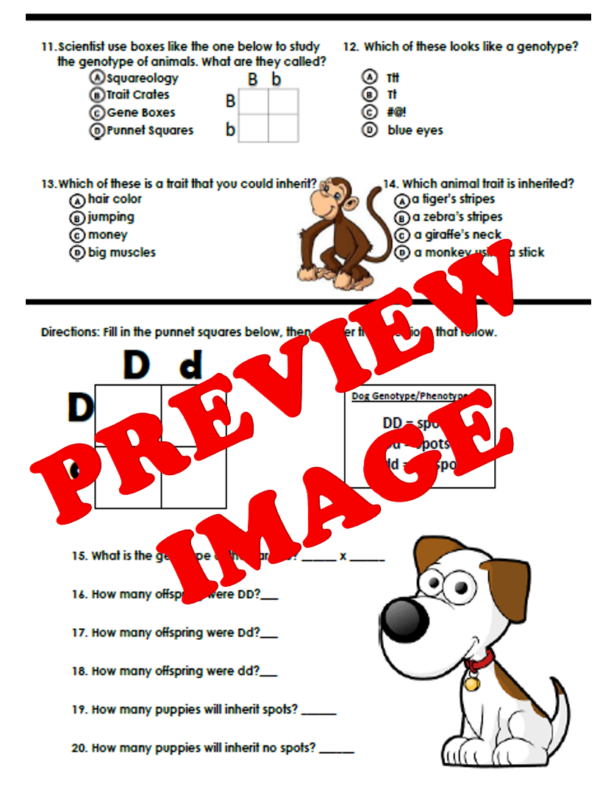 INHERITANCE OF TRAITS (GENETICS) | NGSS Science Test | Made By Teachers