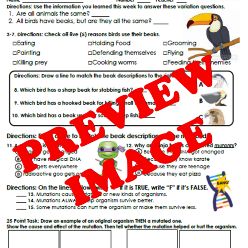 VARIATION OF TRAITS | NGSS Science Test | Made By Teachers